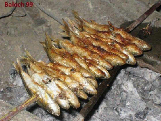 Balochi Cuisine - The Baloch News